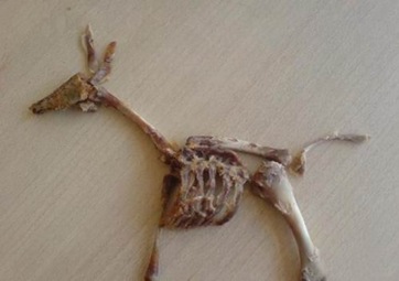 F o r w a r d e d by M Y S T 3: KFC Bone Art